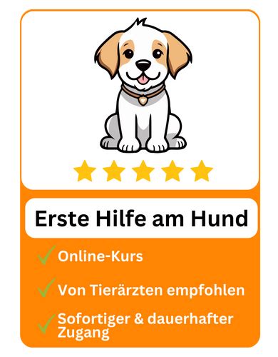 Erste Hilfe Kurs In Stuttgart