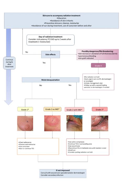 Canadian Skin Management In Oncology Group Casmo Algorithm For The