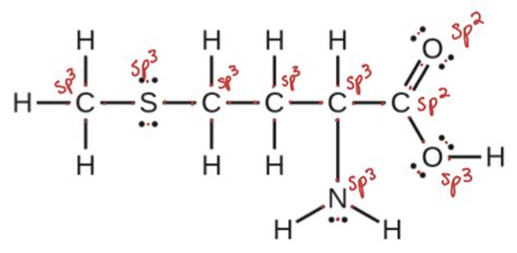 Nh2co2h Lewis Structure