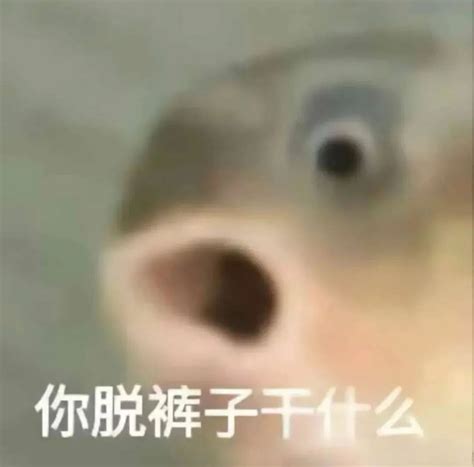 干什么表情包图片 求表情网斗图从此不求人