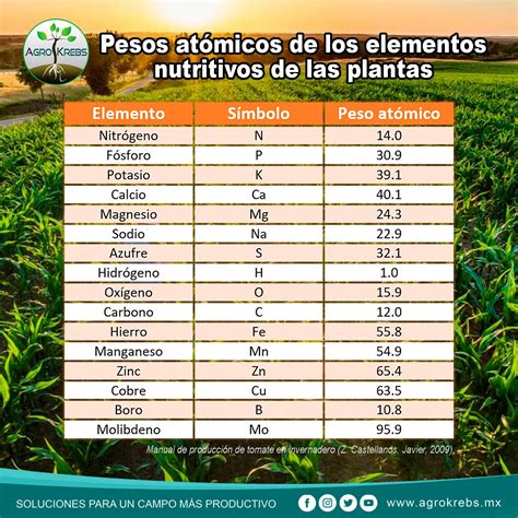 Agro Krebs Pesos AtÓmicos De Los Elementos Nutritivos En