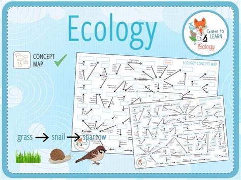 Ecology Concept Map Ks34 Teaching Resources