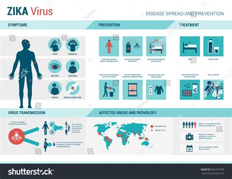 5 918 Zika Stock Illustrations Images And Vectors Shutterstock