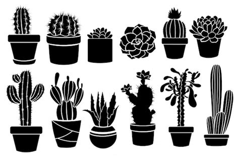 Premium Vector Set Of Indoor Cacti In Pots Collection Of Stylized