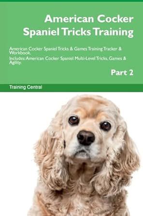 American Cocker Spaniel Tricks Training American Cocker Spaniel Tricks