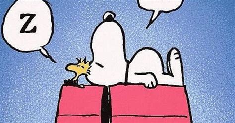 Pin By Amye Patrick On Snoopy Pinterest Woodstock Sleep And Snoopy
