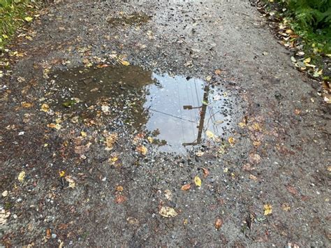 Leave The Light On A Tenakee Dispatch Heather Lende