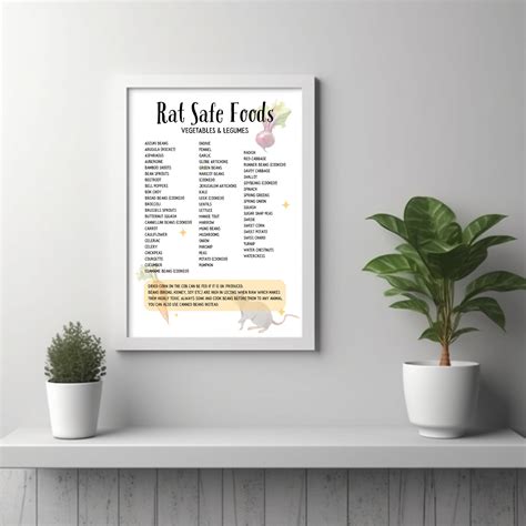 Rat Safe Foods List Etsy