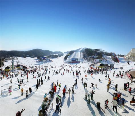 Winter In Korea 10 Best Ski Resorts In South Korea For Beginners And