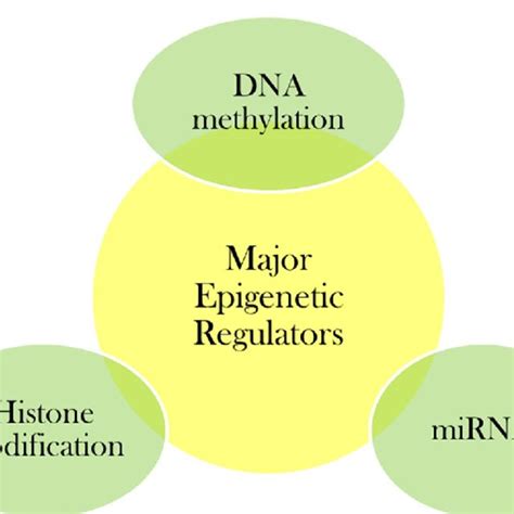 Major Epigenetic Regulators Download Scientific Diagram
