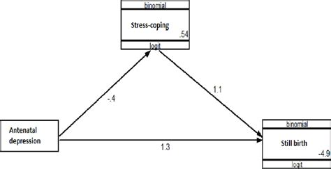 A Path Analysis Model Showing Hypothesized Causal Pathways Underlying