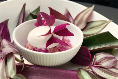 5 Milestone Dishes On Chef Lg Hans Journey To Creating Authentic Farm To Table In Singapore