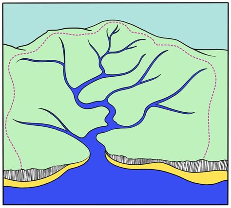 Introducing Rivers Ks2 Y3 Geography Lesson Resources Oak National