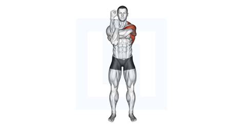 Lever Seated Shoulder Press Guide Benefits And Form