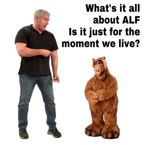 Dionne Warwick What Did All About Alfie Dionne Warwick In This