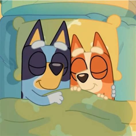 Adult Bluey And Bingo Sleeping Fandom
