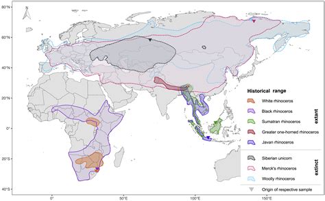 Ancient And Modern Genomes Unravel The Evolutionary History Of The