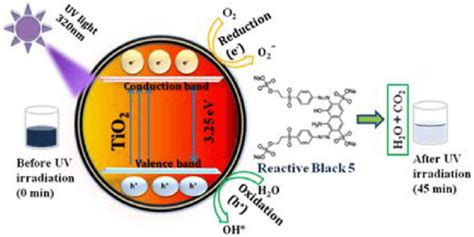 Schematic Of The Photocatalytic Mechanism For The As Synthesized TiO 2 Download Scientific