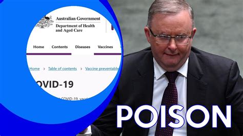 Poison Youtube Poison Youtube