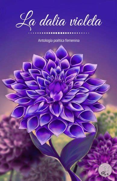 La Dalia Violeta María De Xacobe