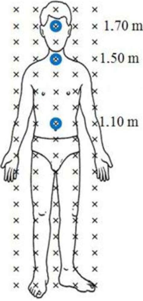 fig l three selected points for spatial averaging 1 1 m 1 5 m and