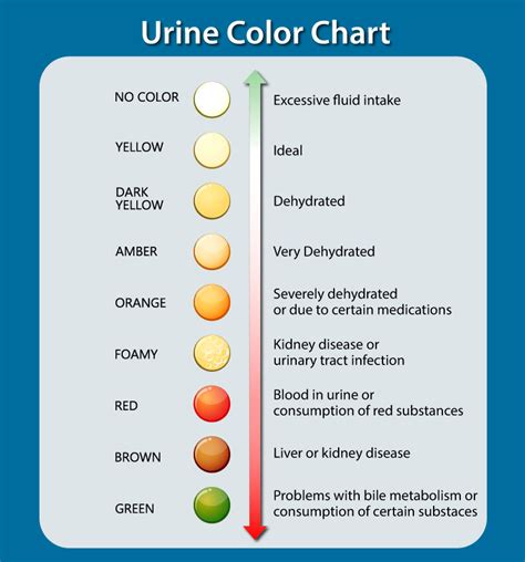 Urine Color Chart And Meaning
