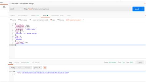 How To Use Docker Api Engine To Exec Cmd In Container Stack Overflow