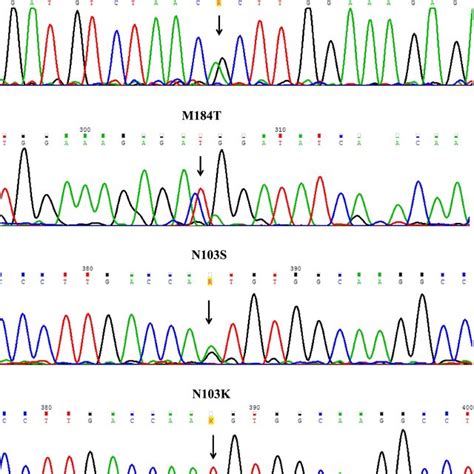 Electropherogram Analysis Of Mutations And Snp Alleles In Unrelated Poi