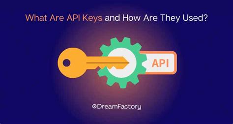 What Is An Api Key And Why Its Used Definition Examples And Best Practices