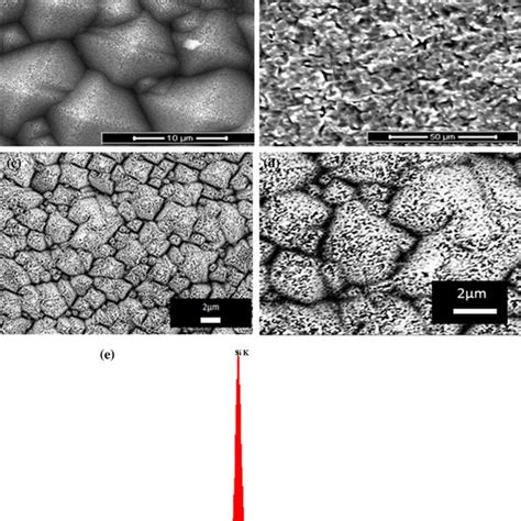 Fesem Of A Textured Nano Grass Sample B Solgel Al2o3 Coated Base Download Scientific Diagram