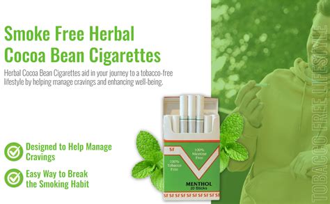 Smoke Free Herbal Cocoa Bean Cigarettes 5 Packs Menthol