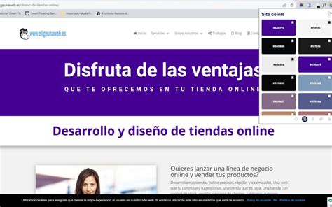 Extensión Google Chrome para gamas de color Eligeunaweb Agencia de marketing y programación web