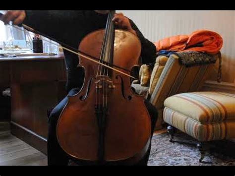 Dieudonné Cello 1941 For Sale At Youtube