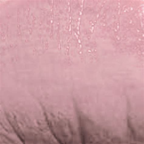 Kaori Lesbian Loves Sex Doppleai