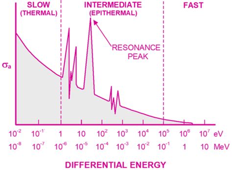 Chapter 4 Nuclear Cross Section Fission And Neutron Classification Flashcards Quizlet