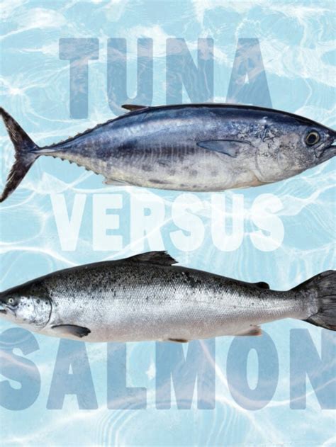 Arctic Char Vs Salmon Beginners Guide