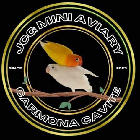 Jcg Mini Aviary Tv Youtube