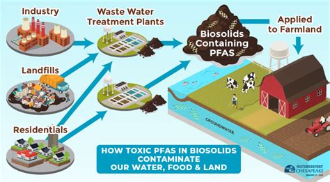 Pfas And Sewage Sludge What Farmers Need To Know Potomac