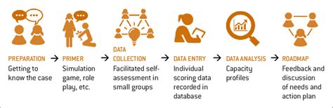 Proposed Steps In The Assessment Process Download Scientific Diagram