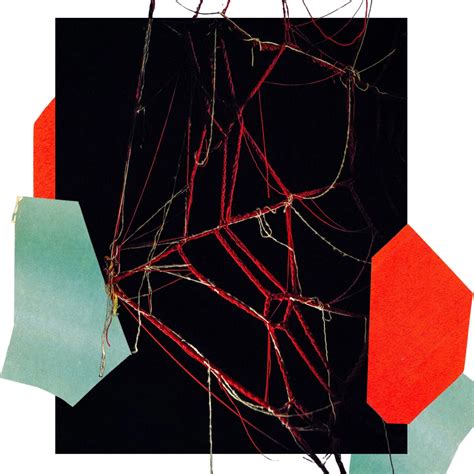 Tarentule De Mona Richard