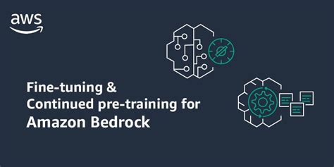 customize models in amazon bedrock with your own data using fine tuning