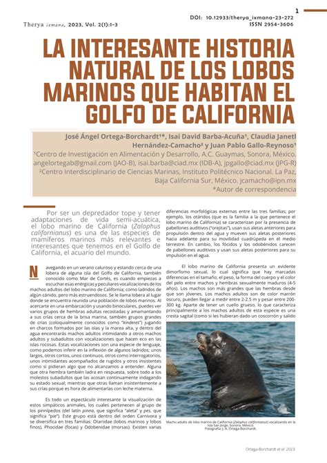 Pdf La Interesante Historia Natural De Los Lobos Marinos Que Habitan