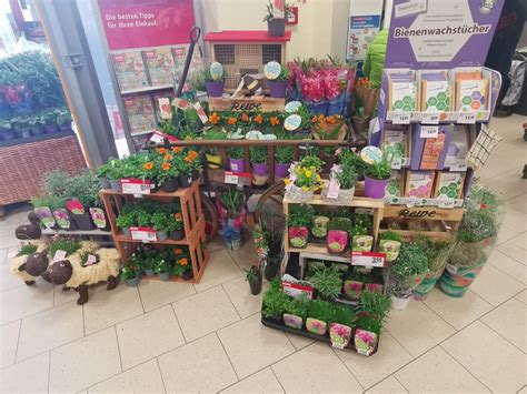 Rewe Antje Eismann Rewe Antje Eismann Ohg Jena Lobeda