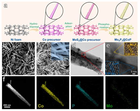 Molecules Free Full Text Constructing Molybdenum Phosphidecobalt Phosphide Heterostructure