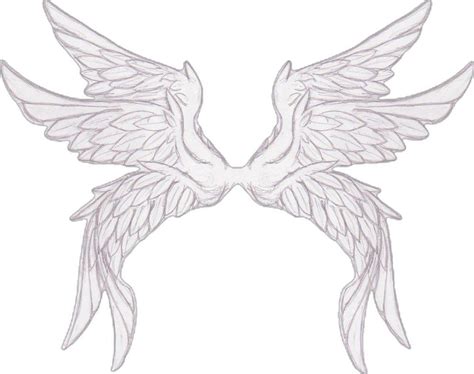 Seraph Tattoo Dibujo De Alas Cosas De Dibujo Esbozos