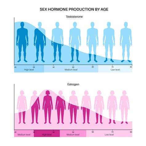 Does Testosterone Make You Gain Weight Ethical Inc