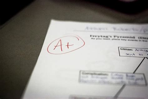 Do Grades Define Intelligence The Talon