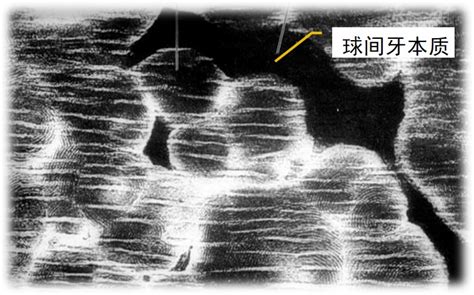 课程门户 章节详情