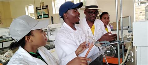 Nul Research And Innovations Roma