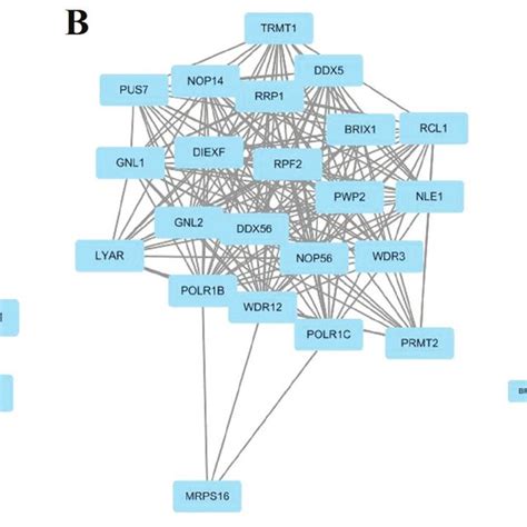 Top Three Modules From The Ppi Network A Module1 B Module2 C Download Scientific